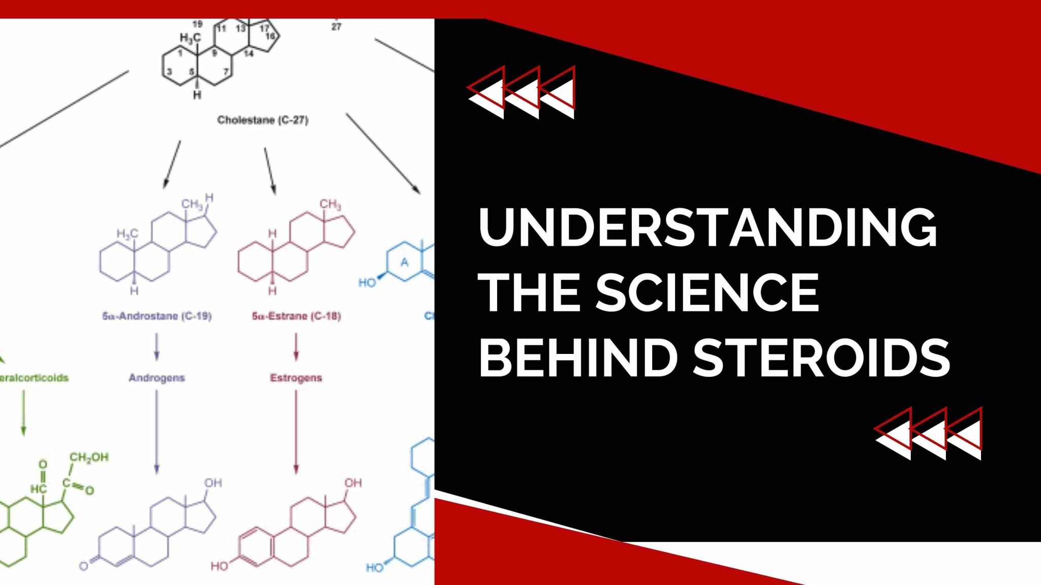 Steroidsstores: Buy Steroids Online | Cheapest rate | Quality