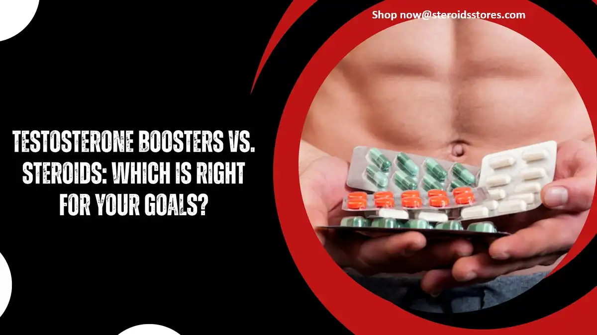 Testosterone Boosters vs Steroids: Which Is Right for Your Goals ...